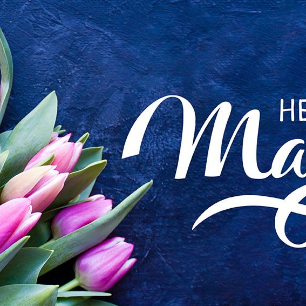 Palfrey Infant School - What's on: May